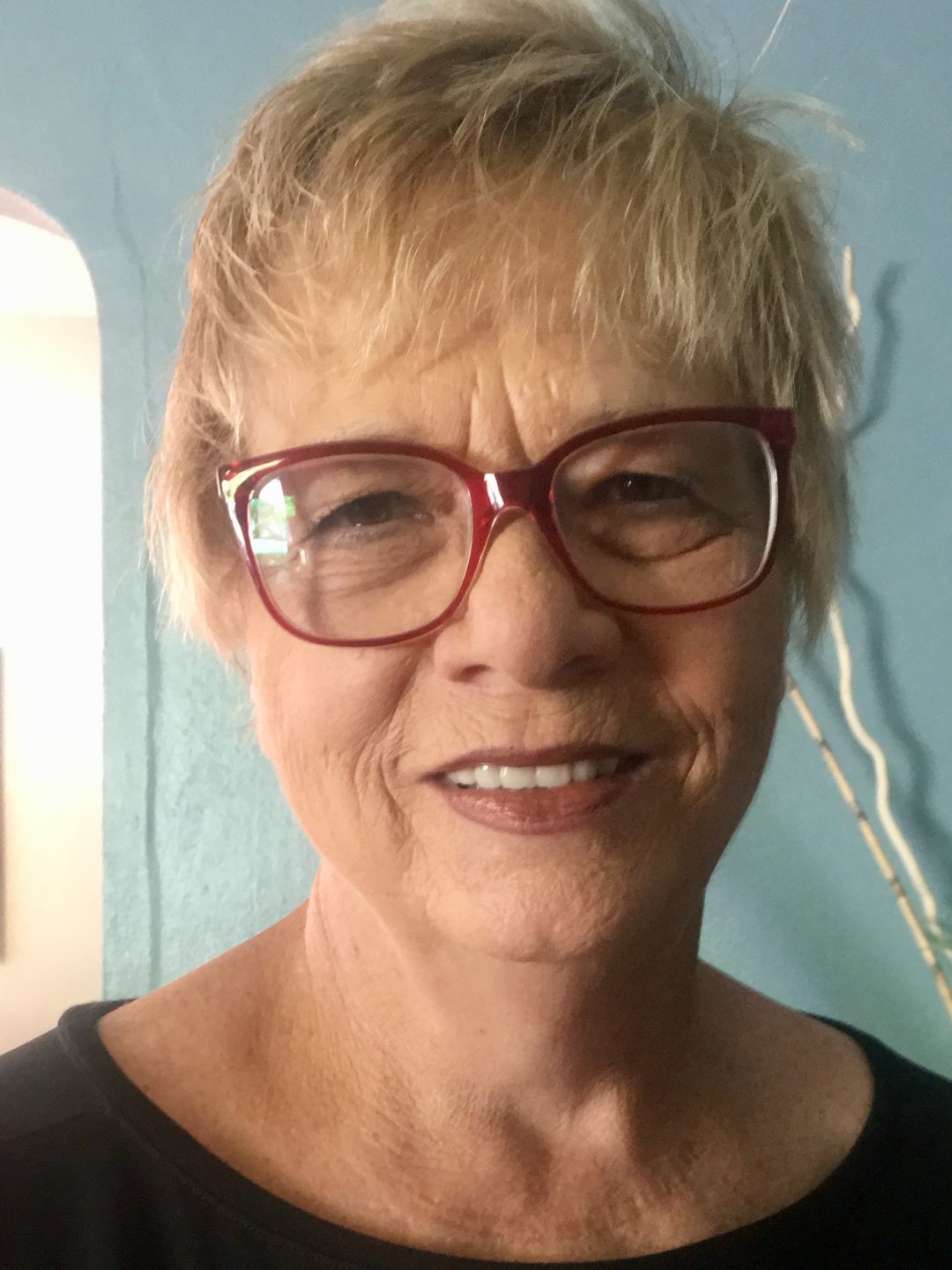 About | Noxon Cabinets Shoreline Coalition